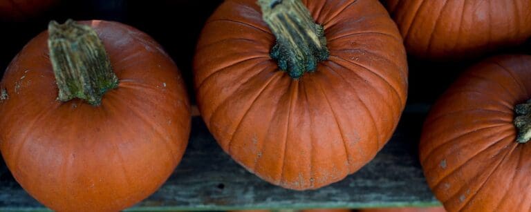 Demand Volatility: How to Anticipate Demand Fluctuations