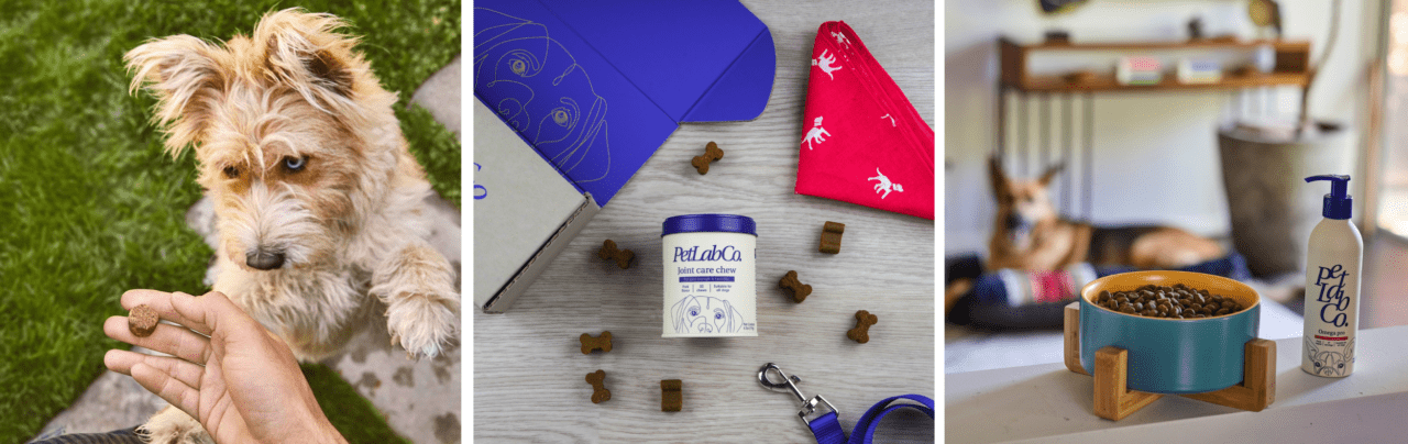 How PetLab Co. Runs a $100M+ Business With ShipBob