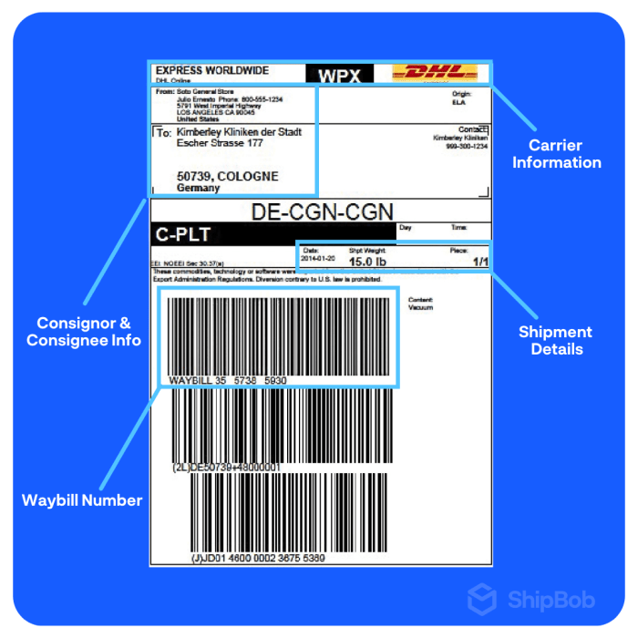 Common Shipping Documents in 2025: Your Complete List