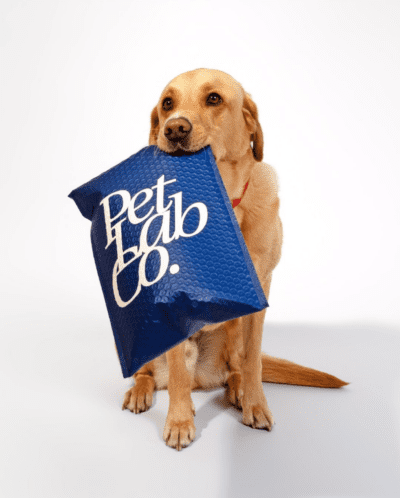 What is Fill Rate? Definition, Formula, & How-to Calculate