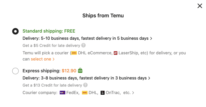 Temu Shipping 101: How It Works + Temu Delivery Times